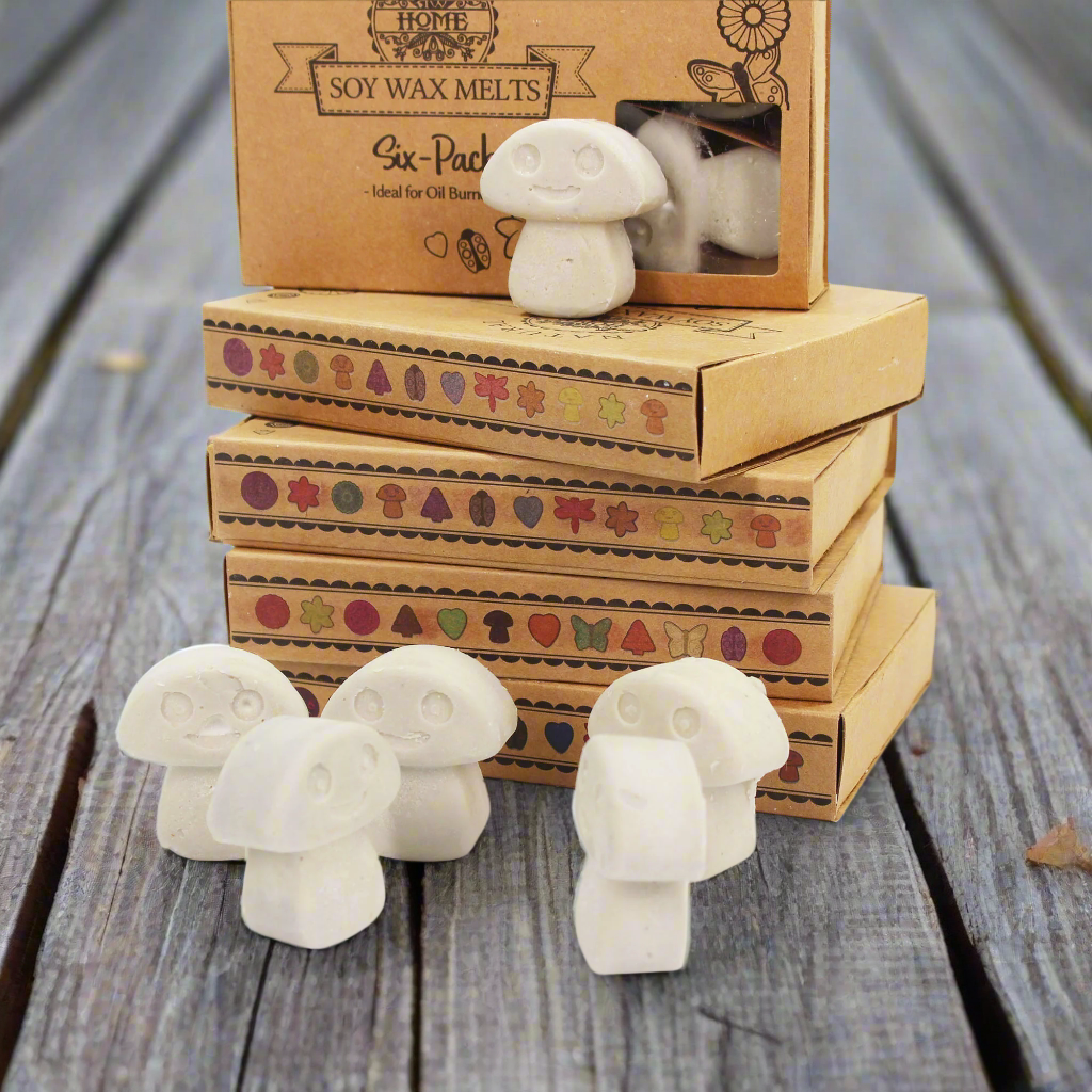 Cheap wax melts store